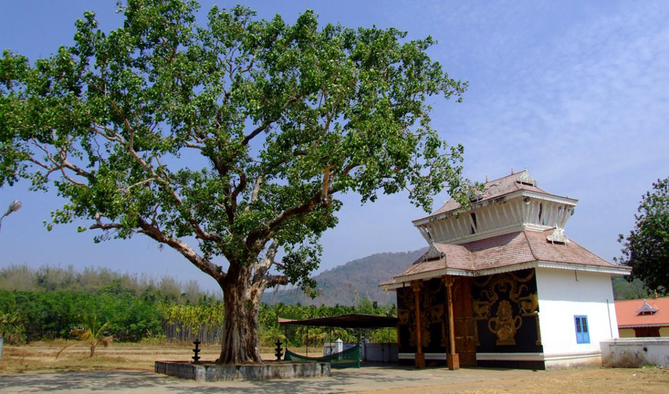 Uthralikavu Bhagavathy Temple – Kerala | Organikos