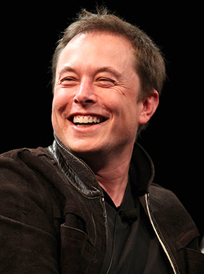 More On Tesla’s Mr. Musk | Organikos