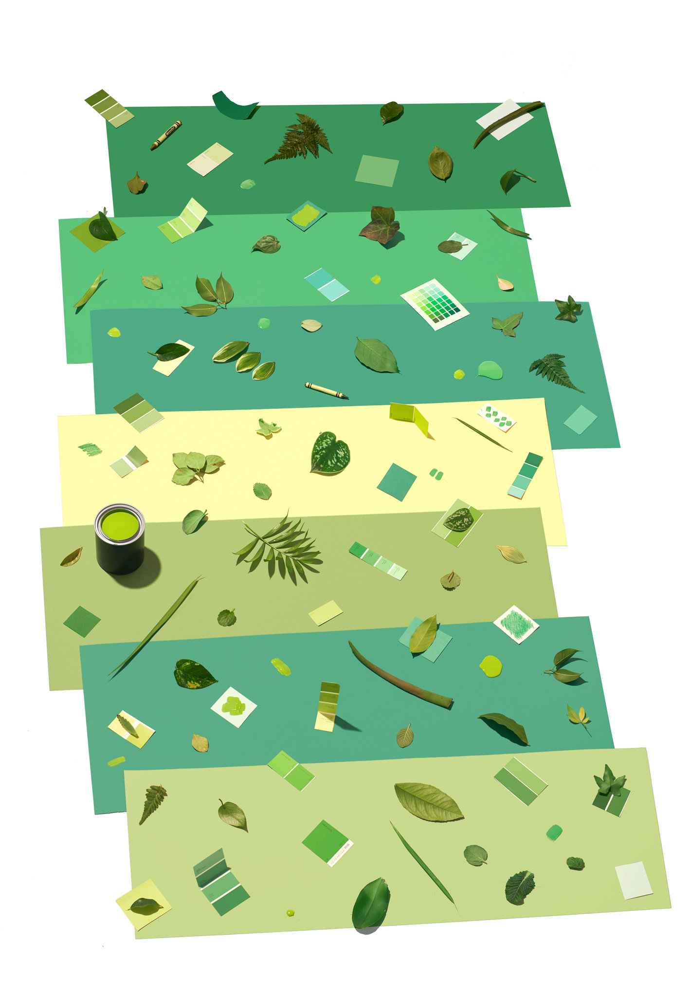 Green, Cause And Effect, Explained | Organikos