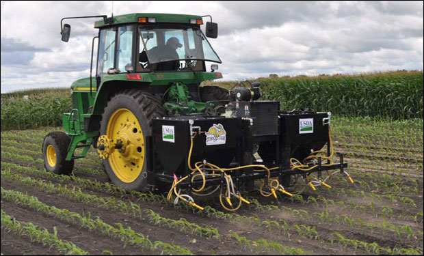 Obliterating Weeds with Grit | Organikos