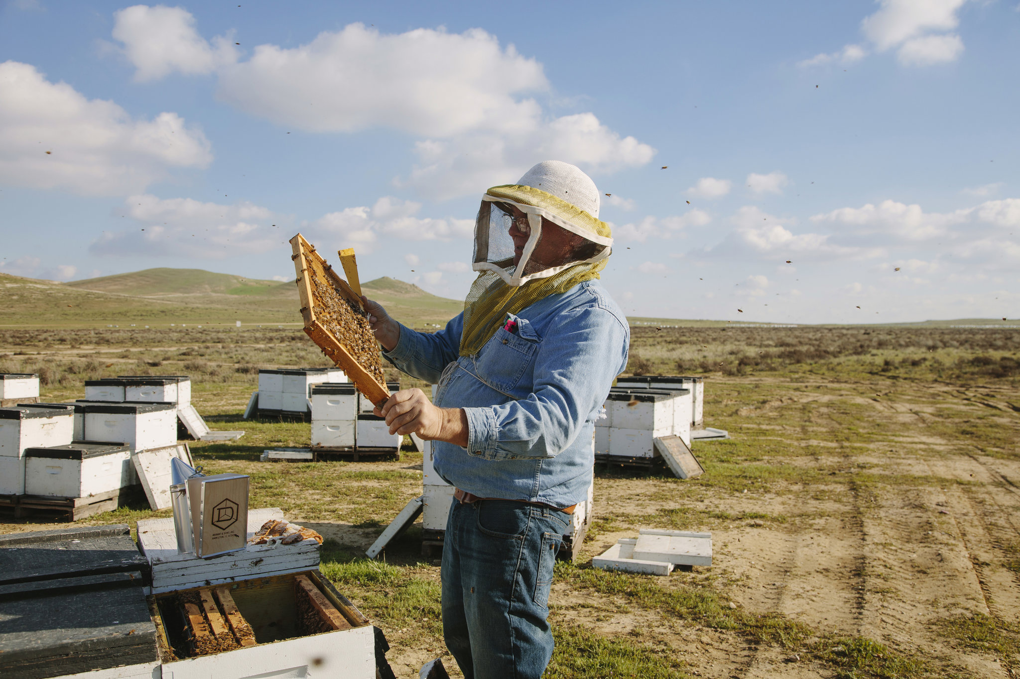 Bee Mogul Is A Thing | Organikos