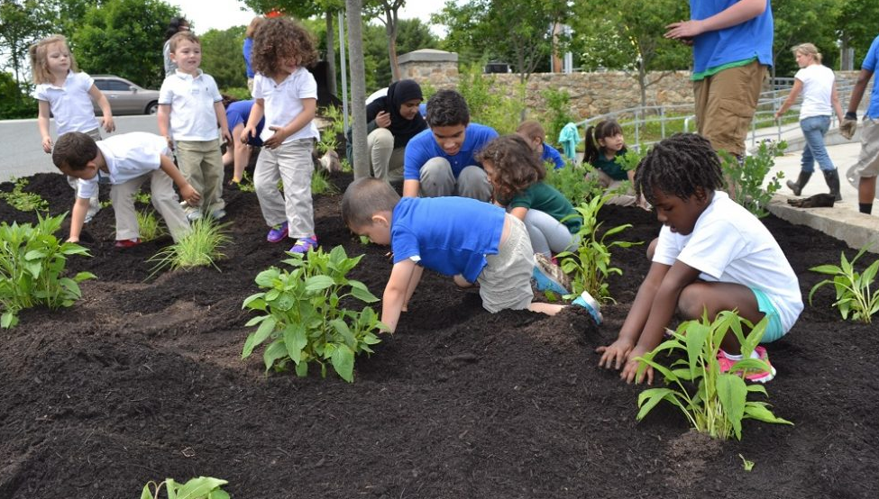 How Does Your Garden Grow? | Organikos