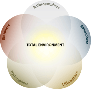 Environmental Impact From Microwave Ovens | Organikos