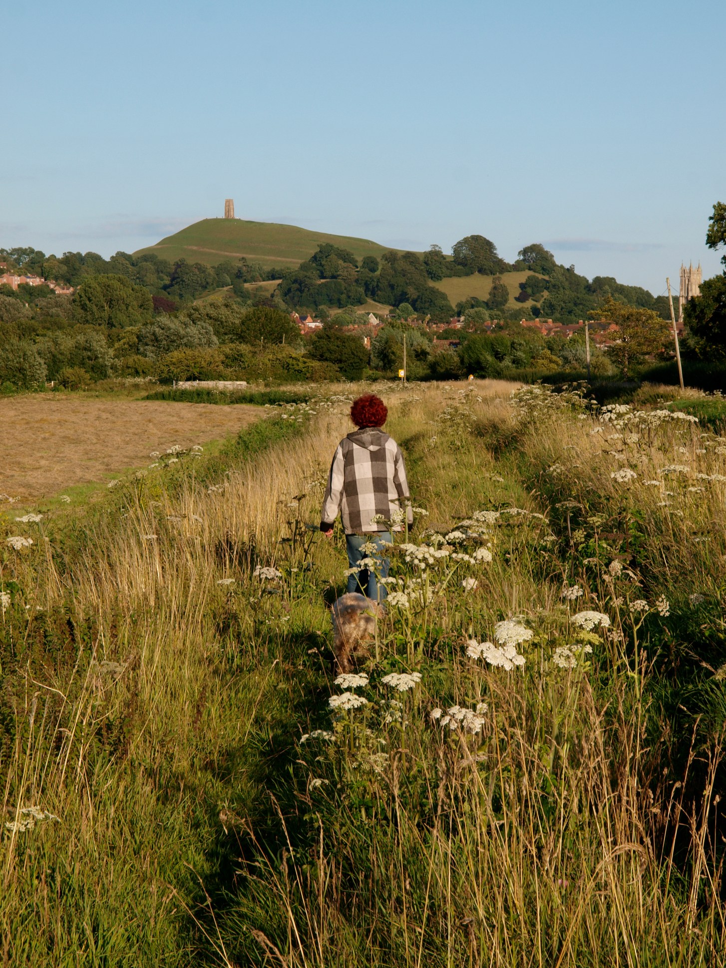 Walking, Rights & Ways | Organikos