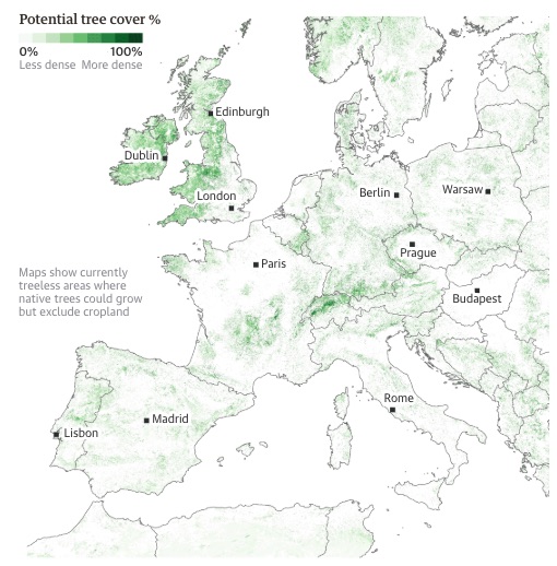 Blueprint For Planting Trees | Organikos