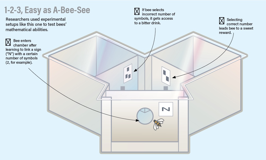 Smart Bees | Organikos