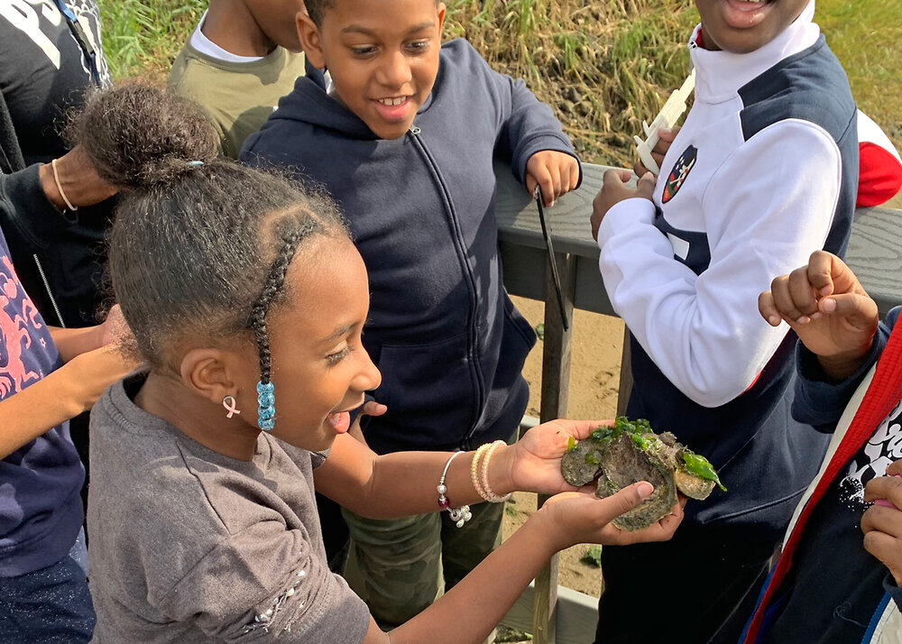 Nature, Intervention & Protection | Organikos