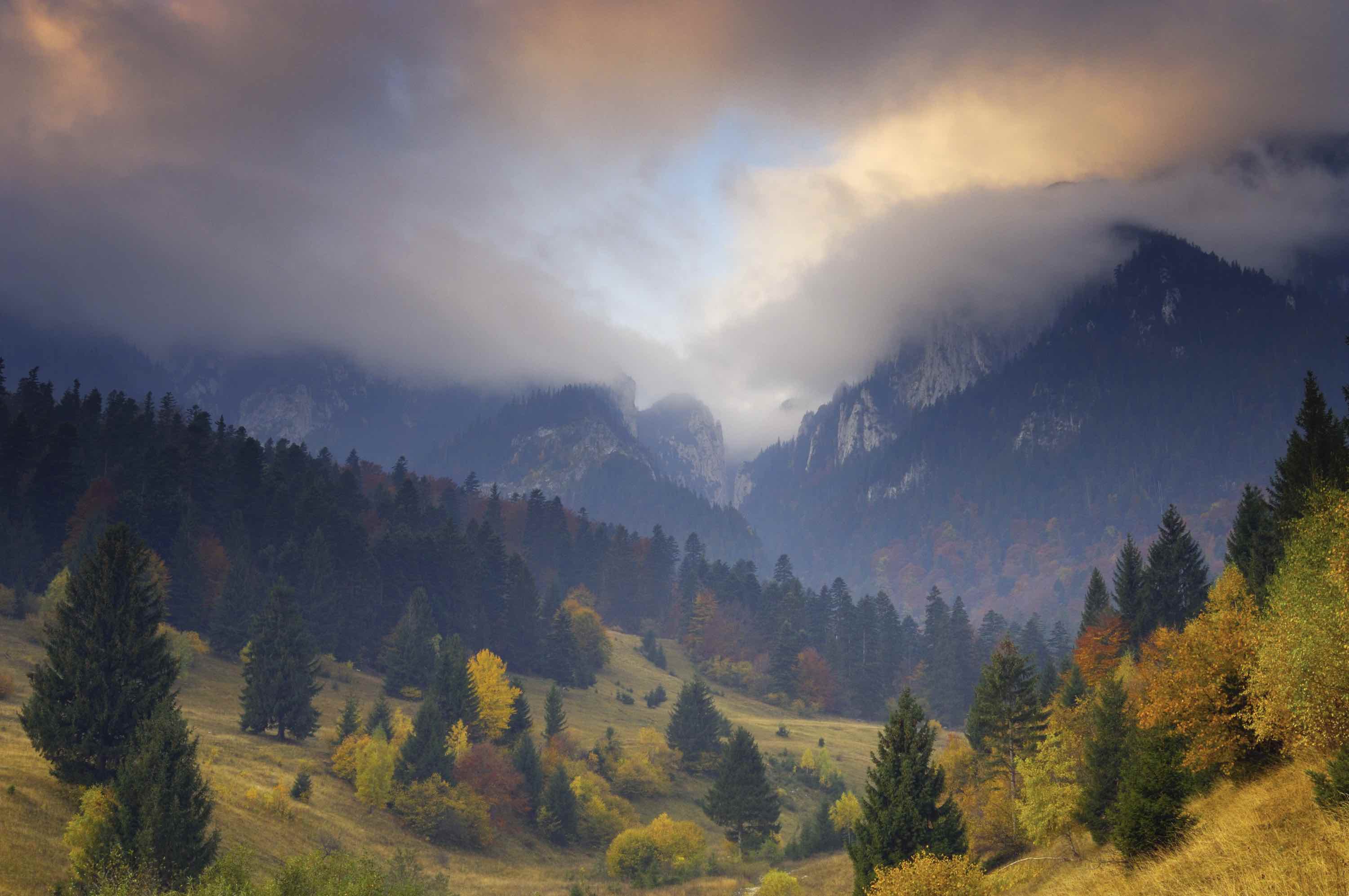 Romania’s Carpathian Mountains, Forever | Organikos