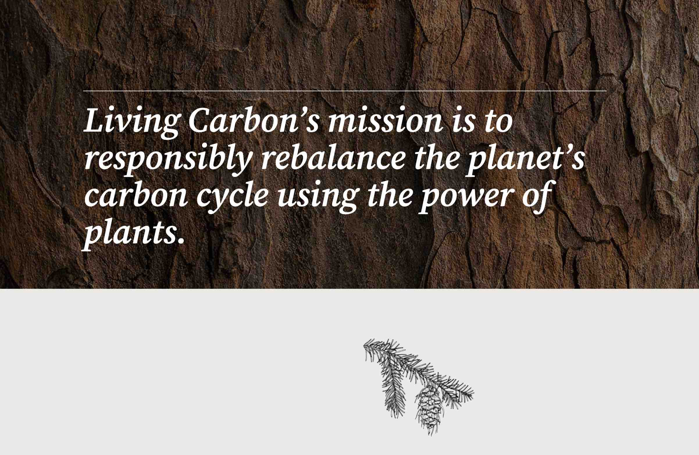 Living Carbon | Organikos
