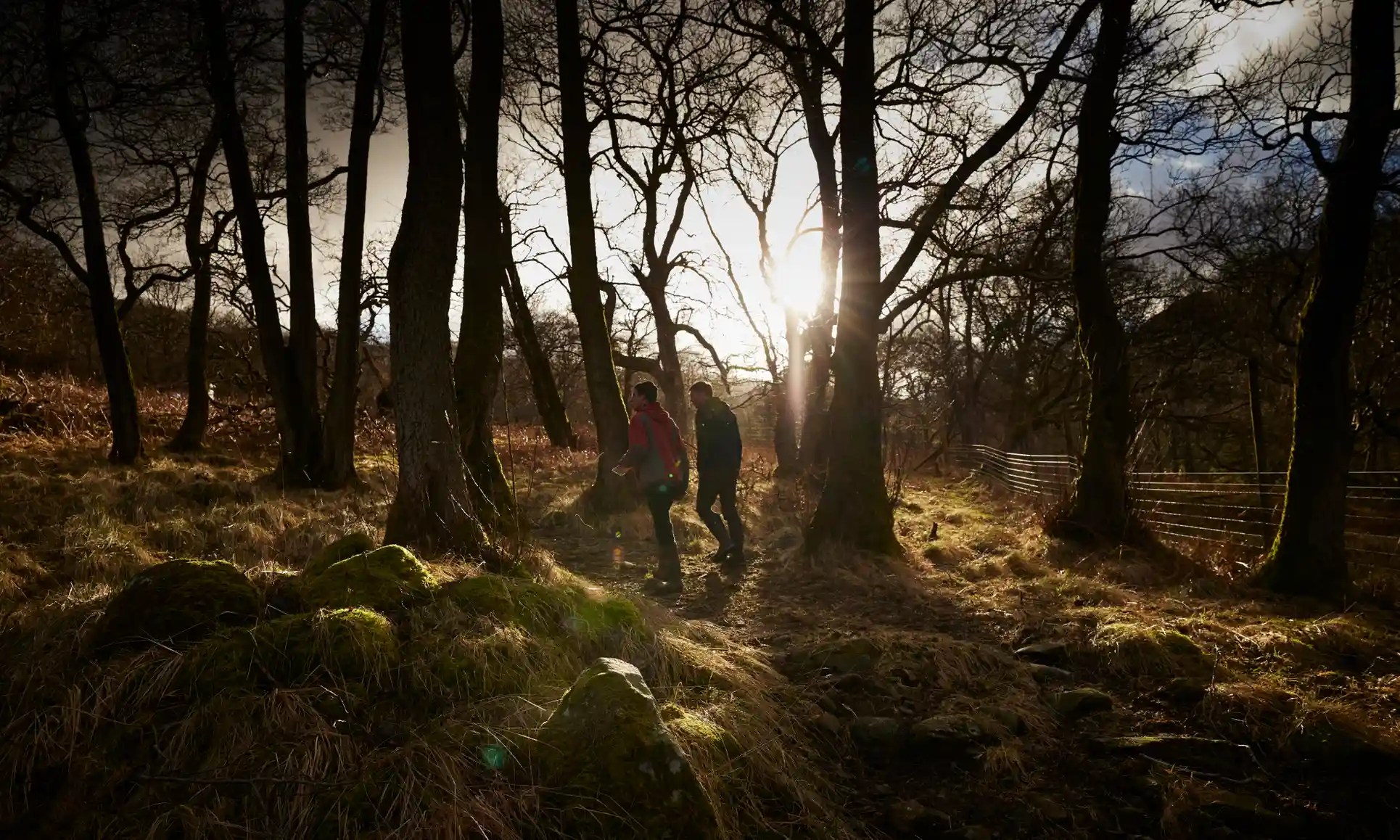 Realities Of Rewilding | Organikos