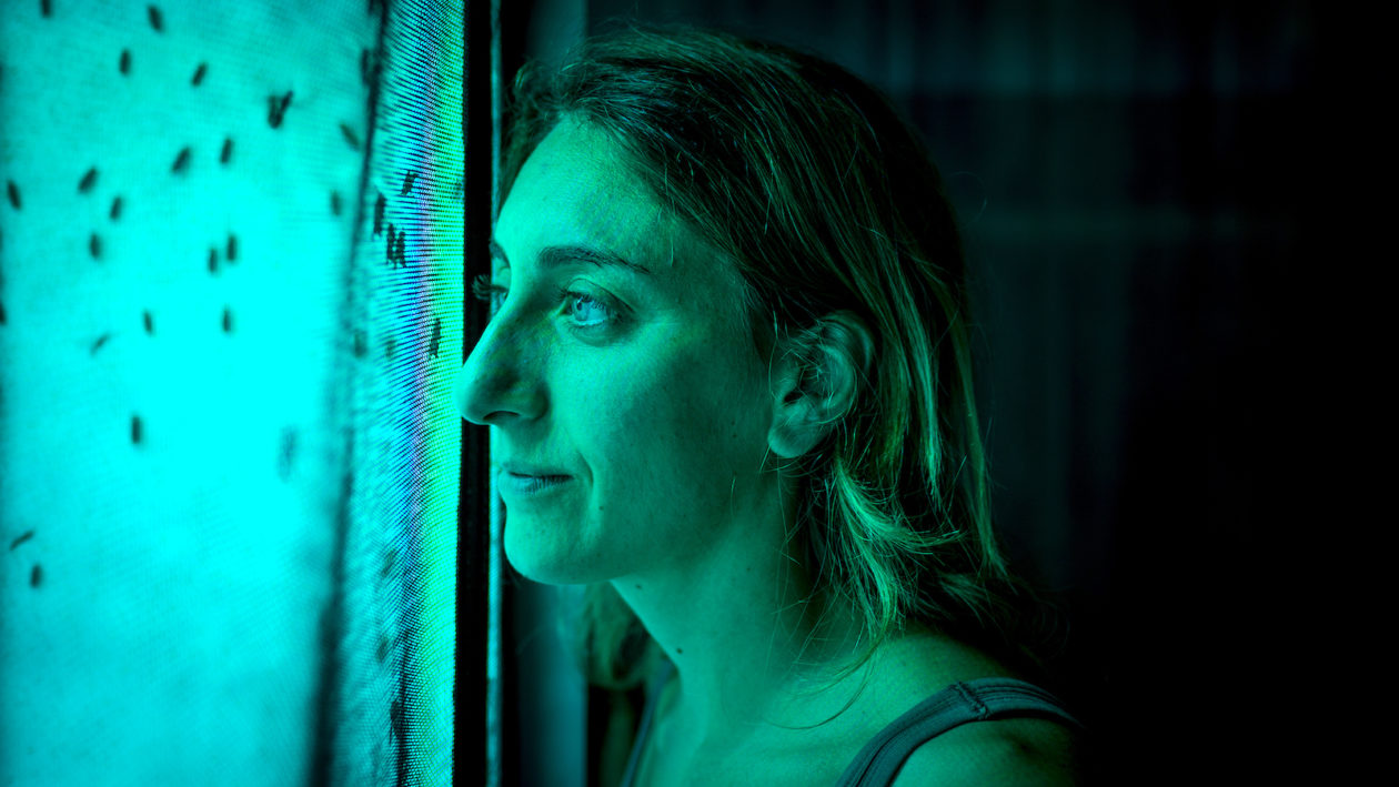 Insect Respect | Organikos