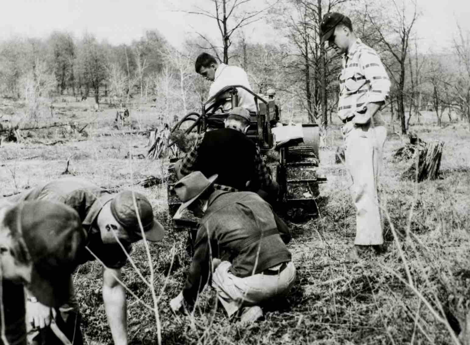 A Century’s Evidence On The Benefits Of Planting Trees | Organikos