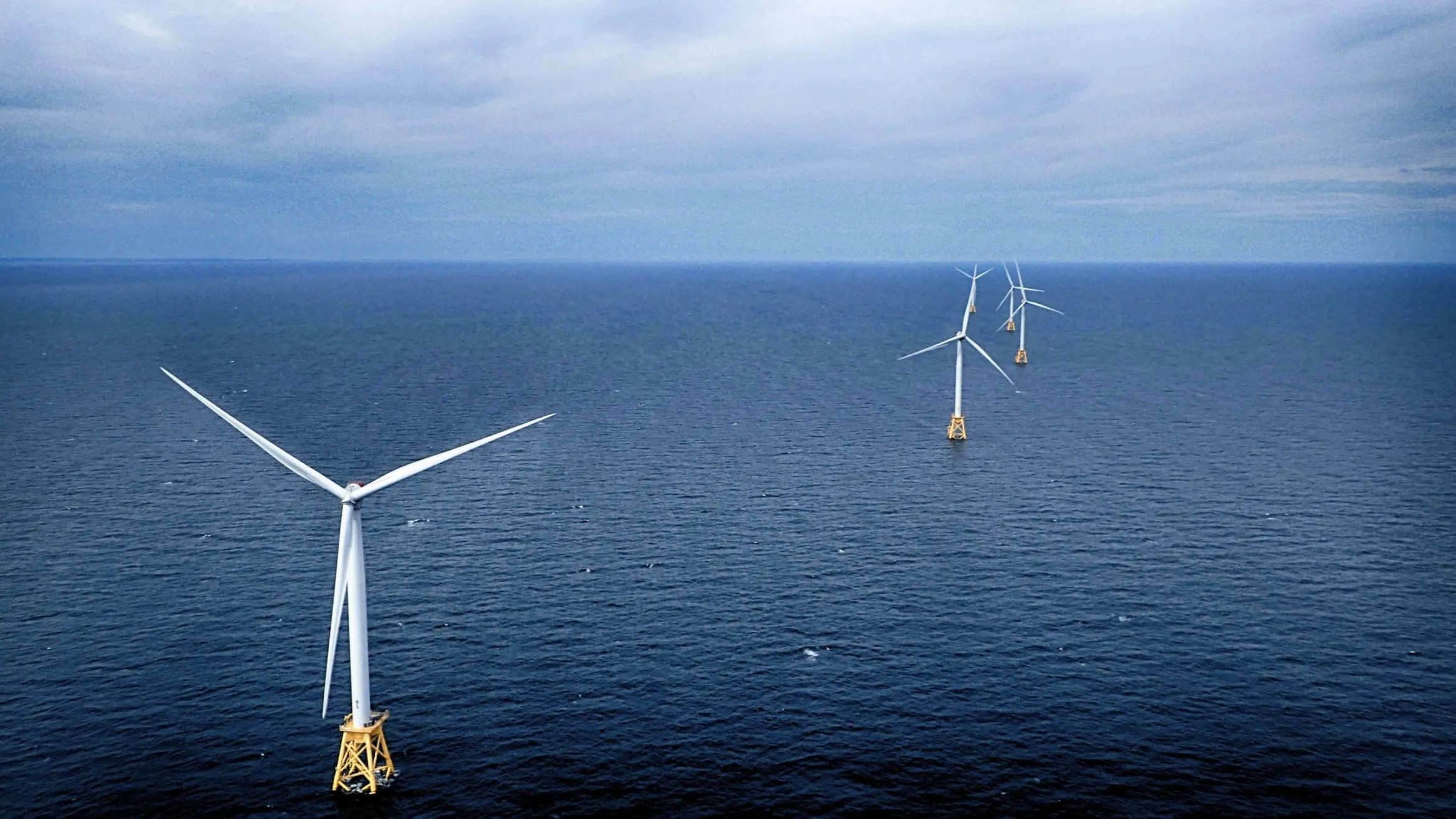 Wind Farm Fishing | Organikos