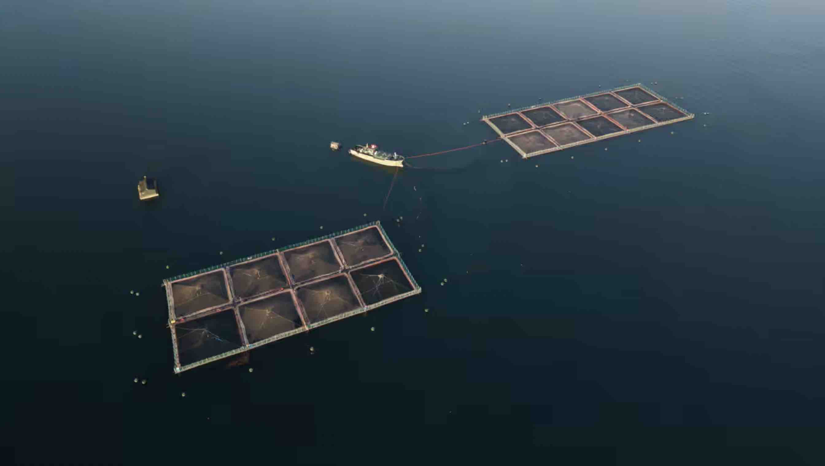 South American Fishing Methods, And Choices | Organikos